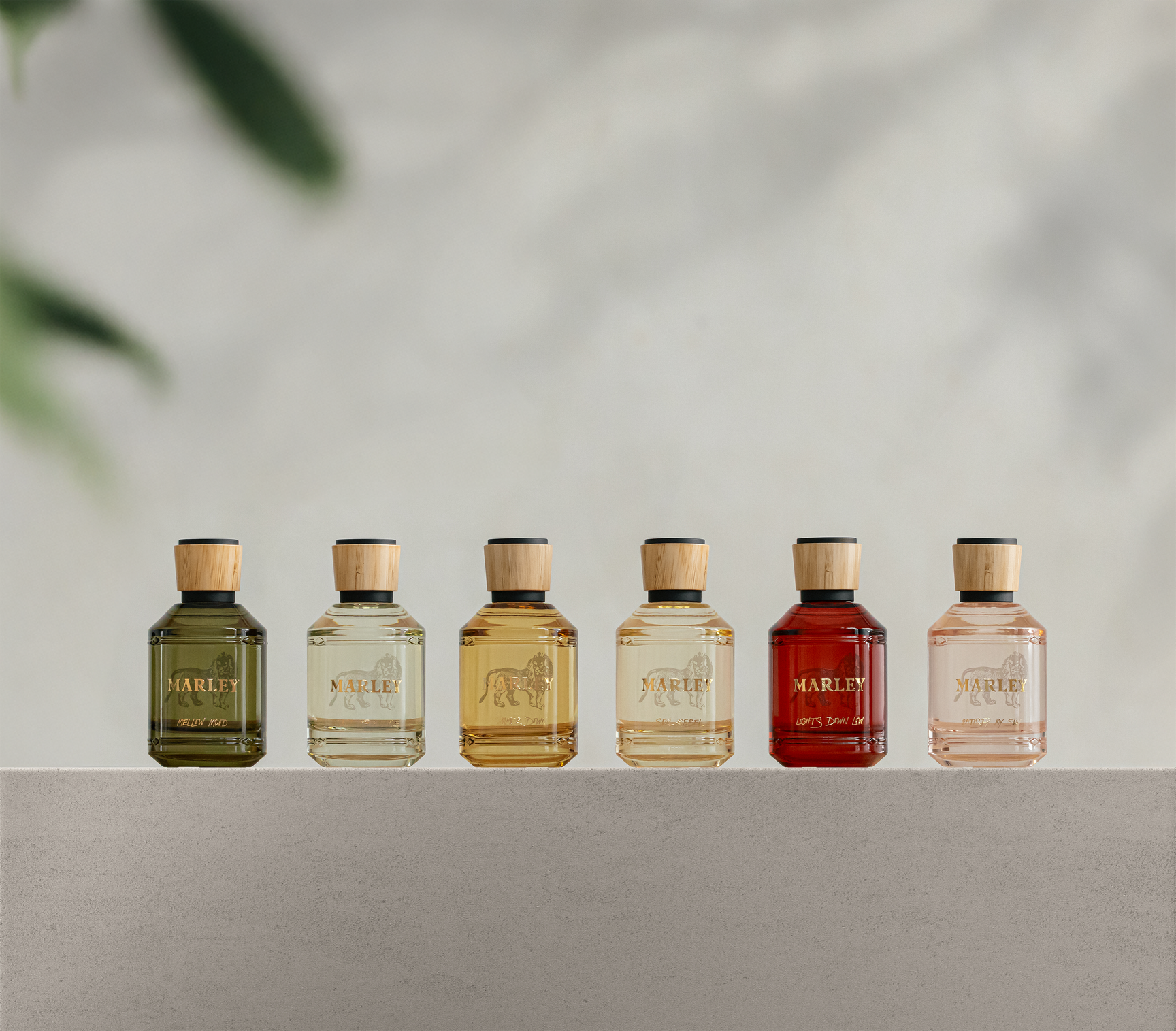 Shop All – MarleyFragrance.com